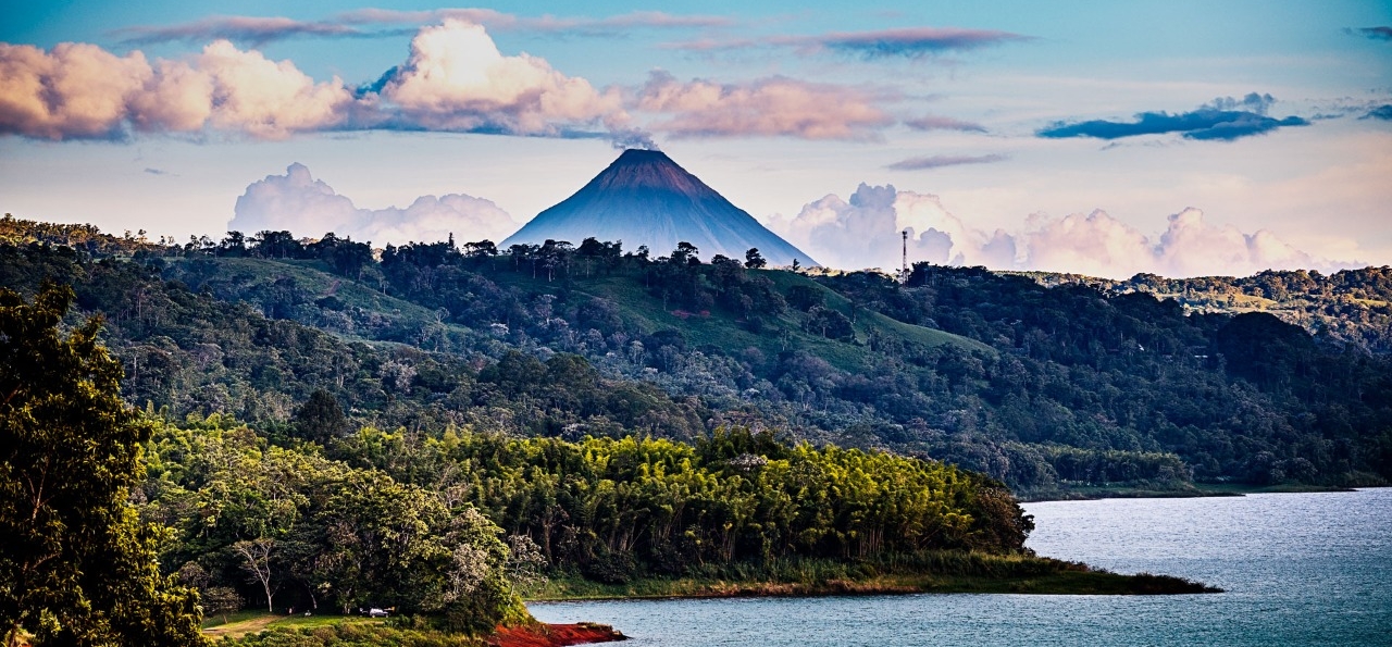 Home - Arenal Properties